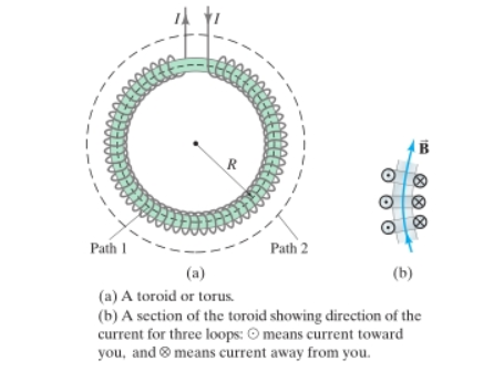 Solved (a)(b)(a) ﻿A toroid or torus.(b) ﻿A section of the | Chegg.com