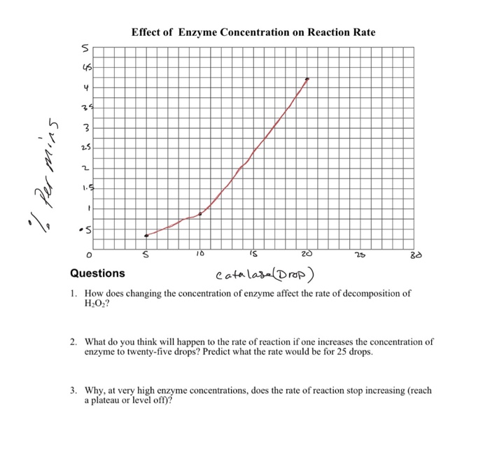 Solved Effect of Enzyme Concentration on Reaction Rate % per | Chegg.com