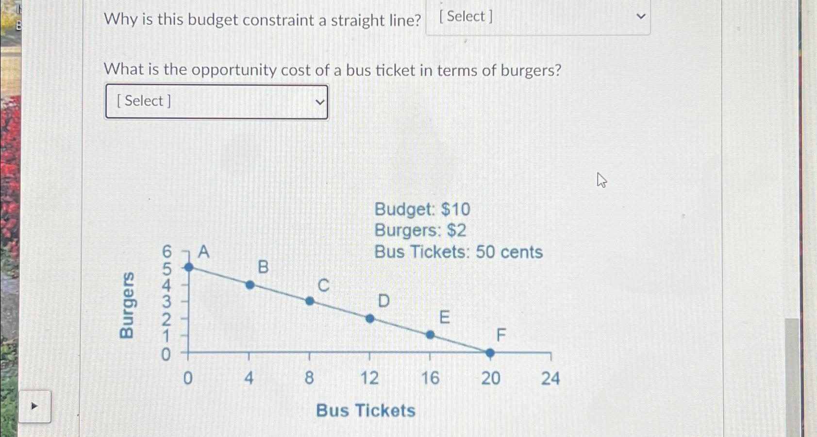 Solved Why is this budget constraint a straight line?[ | Chegg.com