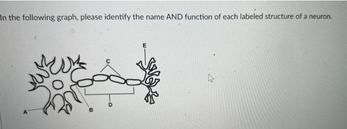 Solved In the following graph, please identify the name AND | Chegg.com