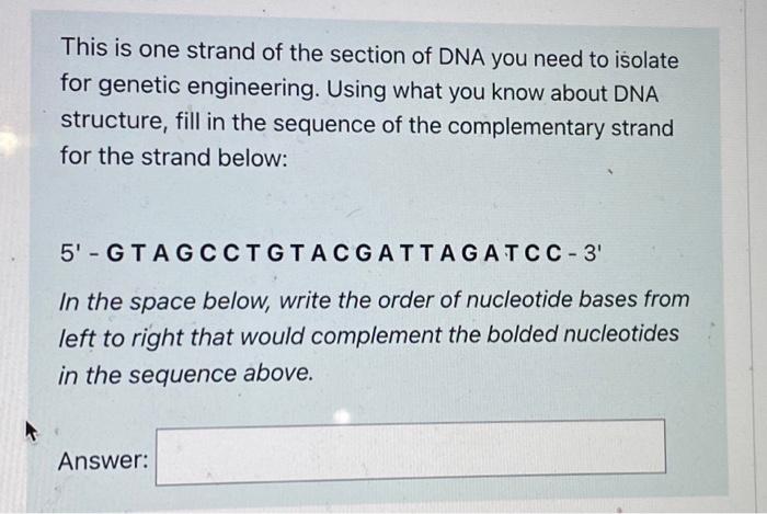 This is one strand of the section of DNA you need to | Chegg.com