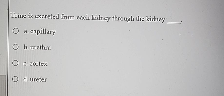 Solved Urine is excreted from each kidney through the | Chegg.com