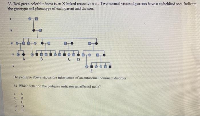 Solved 33. Red green colorblindness is an X-linked recessive | Chegg.com
