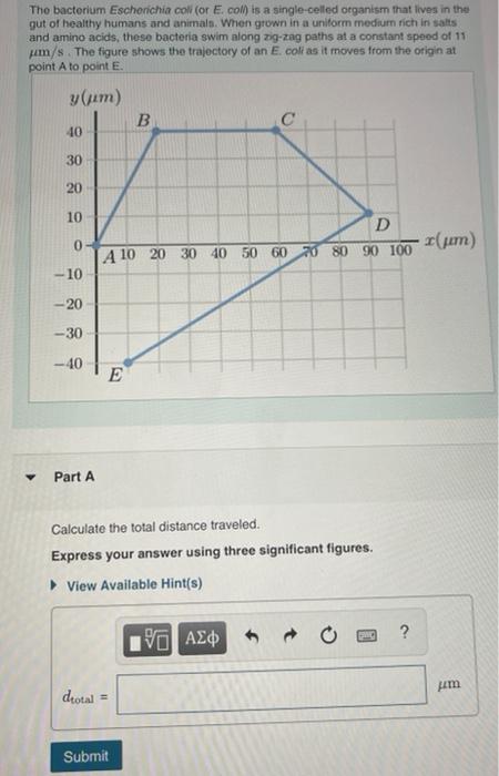 Solved The bacterium Eschorichia coll (or E. coll) is a | Chegg.com