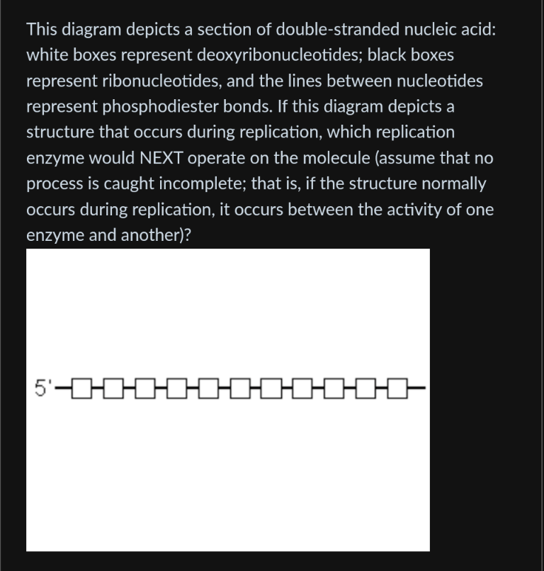 Solved This diagram depicts a section of double-stranded | Chegg.com