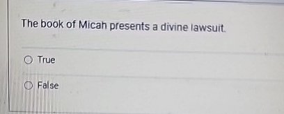 Solved The book of Micah presents a divine lawsuit.TrueFalse | Chegg.com