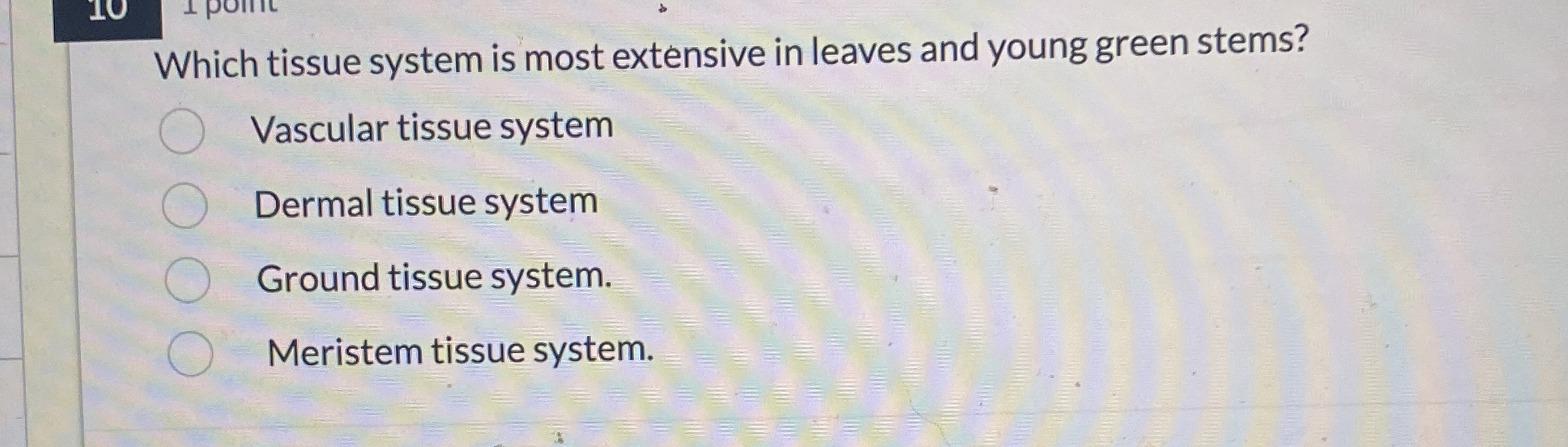 Solved Which tissue system is most extensive in leaves and | Chegg.com