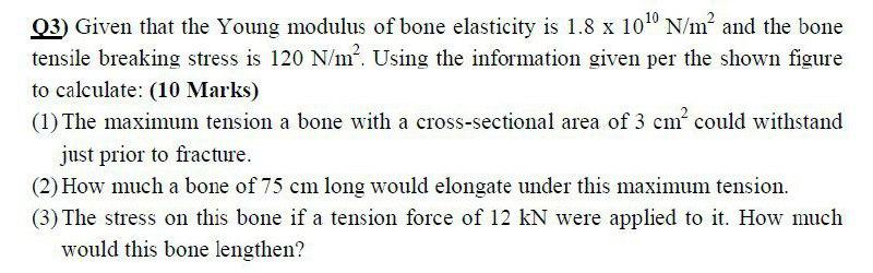 Solved 03) Given that the Young modulus of bone elasticity | Chegg.com