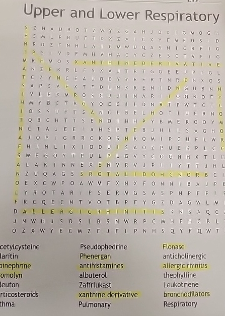 Solved Upper and Lower Respiratory | Chegg.com