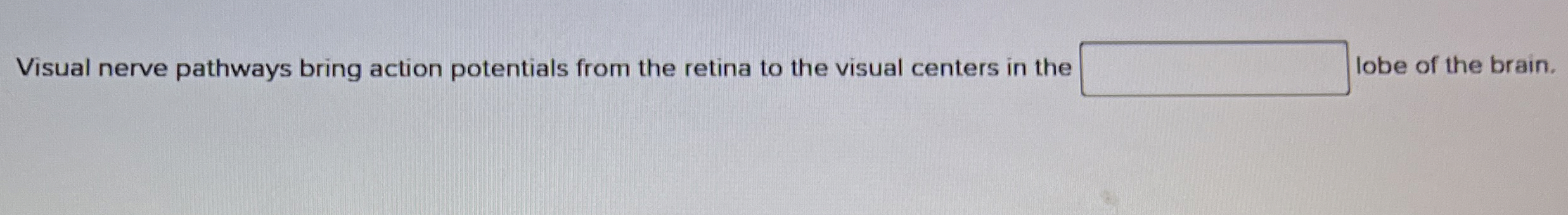 Solved Visual nerve pathways bring action potentials from | Chegg.com
