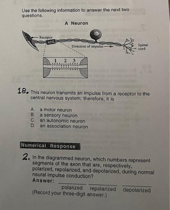 Solved Use the following information to answer the next two | Chegg.com