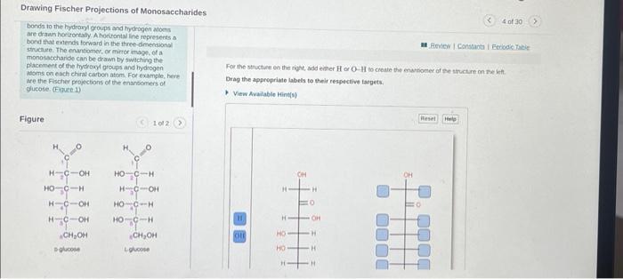 Solved Drawing Fischer Projections of Monosaccharides bonds | Chegg.com