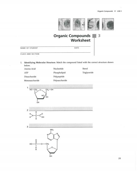 Solved Organic Compounds LB 3 3 Organic Compounds Worksheet | Chegg.com
