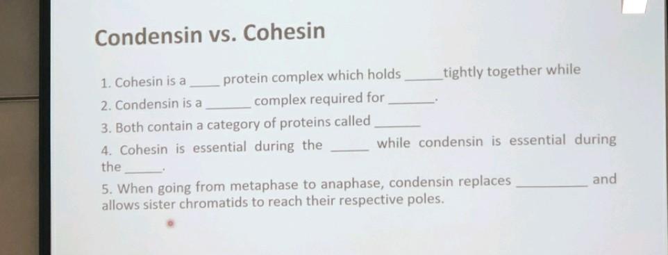 Solved Condensin vs. Conesin 1. Cohesin is a protein complex | Chegg.com