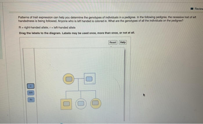 Solved Review Patterns of trait expression can help you | Chegg.com