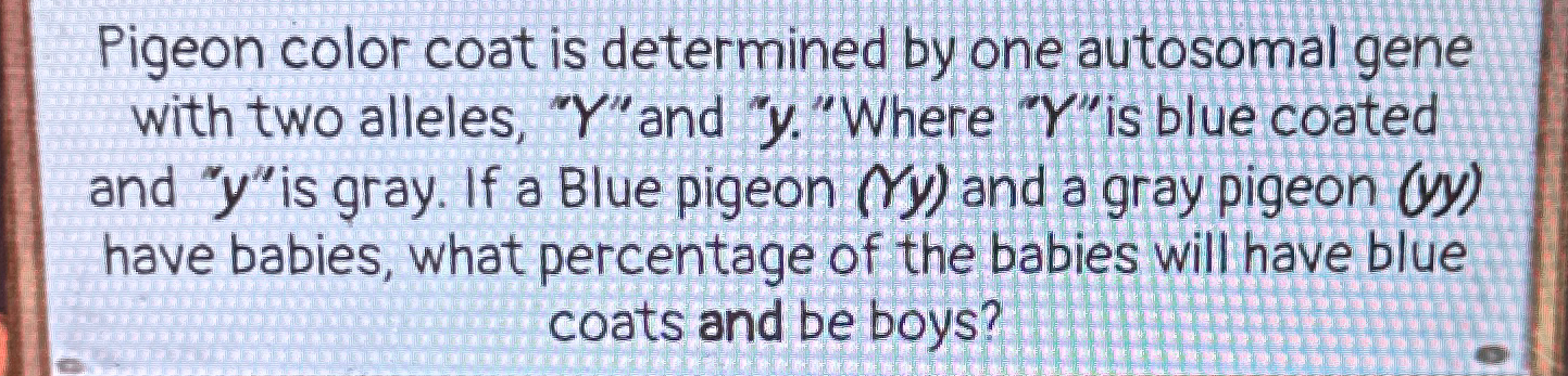 Solved Pigeon color coat is determined by one autosomal gene | Chegg.com