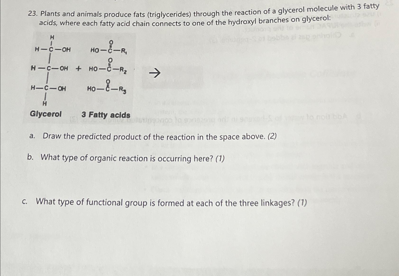 Solved Plants and animals produce fats (triglycerides) | Chegg.com