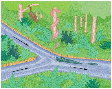 Solved The figure below shows the merging of two streams to | Chegg.com