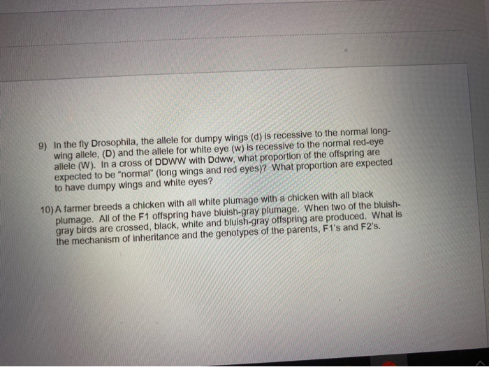 Solved 9) In the fly Drosophila, the allele for dumpy wings | Chegg.com