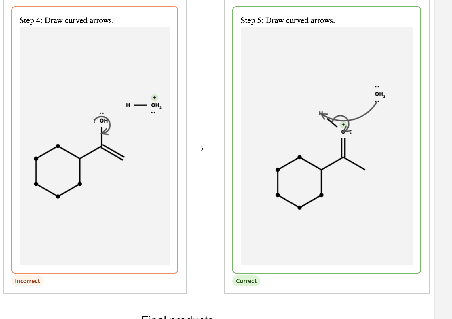 Step 4: Draw curved arrows.Step 5: Draw curved | Chegg.com