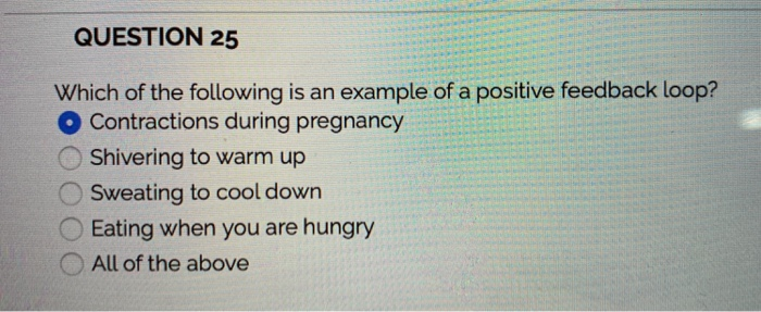 Solved QUESTION 25 Which of the following is an example of a | Chegg.com