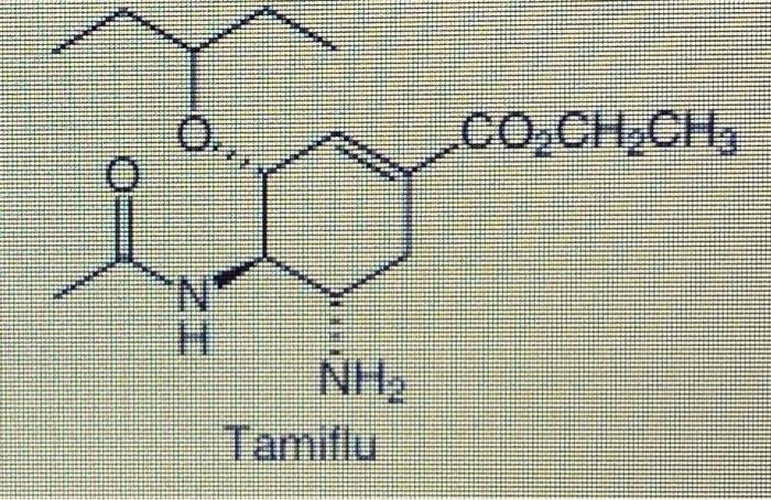 Solved CO2CH2CH3 N M NH2 | Chegg.com