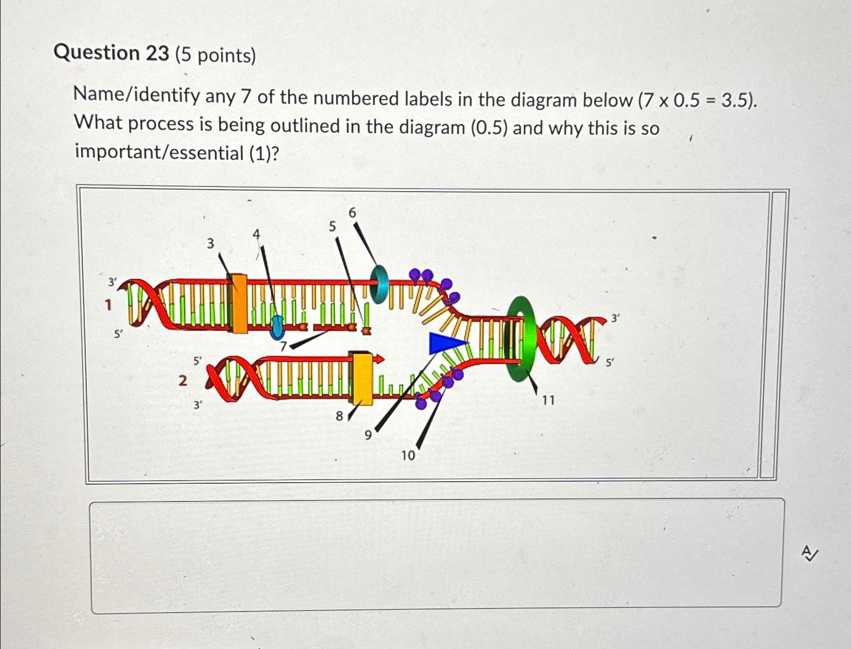 Solved Question 23 (5 ﻿points)Name/identify any 7 ﻿of the | Chegg.com