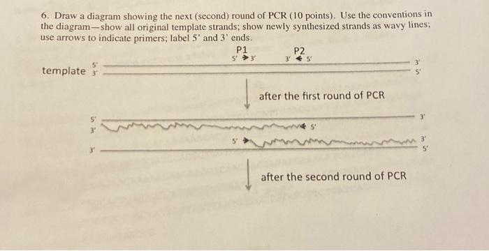 Solved 6. Draw a diagram showing the next (second) round of | Chegg.com