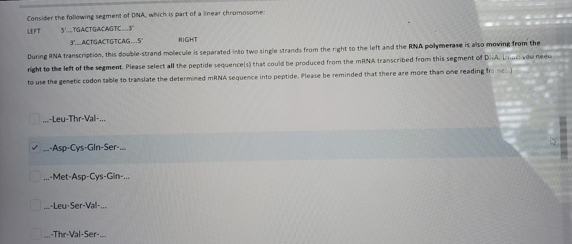 Solved Consider the following segment of DNA, which is part | Chegg.com