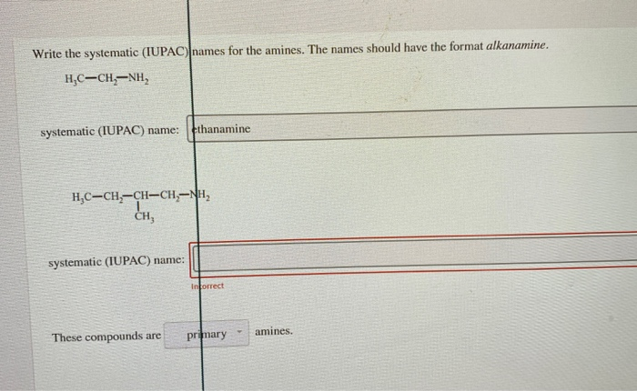 Solved Write the systematic (IUPAC)|names for the amines. | Chegg.com