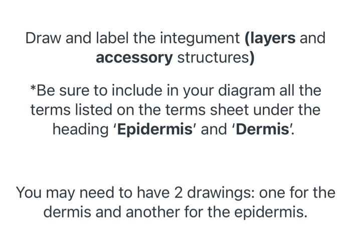 Solved Draw and label the integument (layers and accessory | Chegg.com