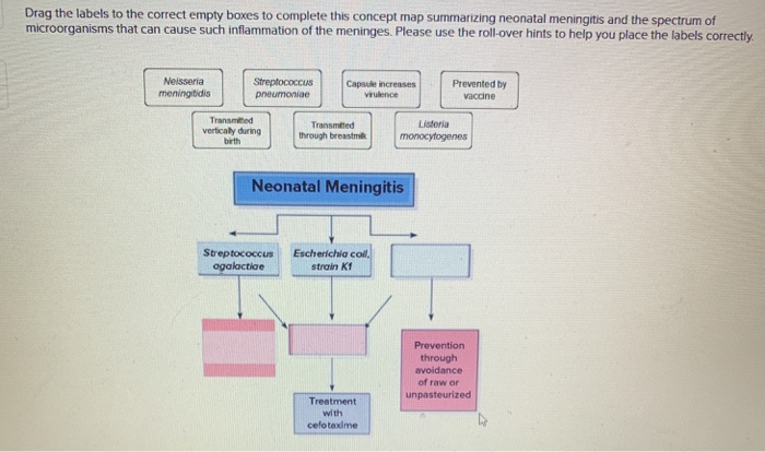 Solved Drag the labels to the correct empty boxes to | Chegg.com