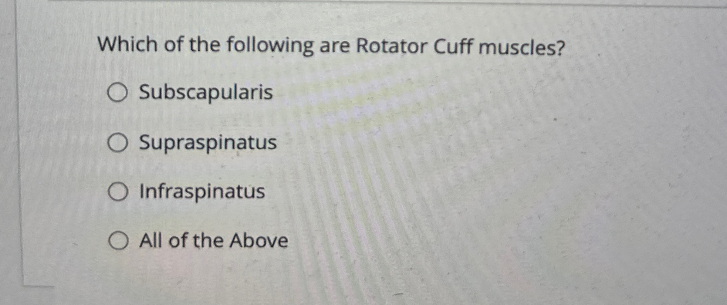 Solved Which of the following are Rotator Cuff | Chegg.com