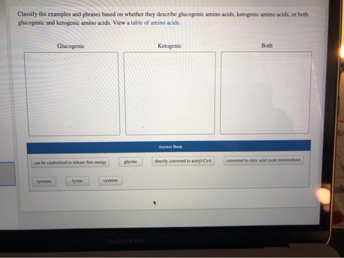 Solved Classify the examples and phrases based on whether | Chegg.com