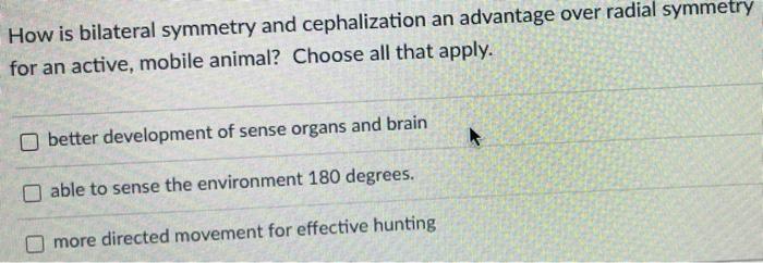 Solved How is bilateral symmetry and cephalization an | Chegg.com