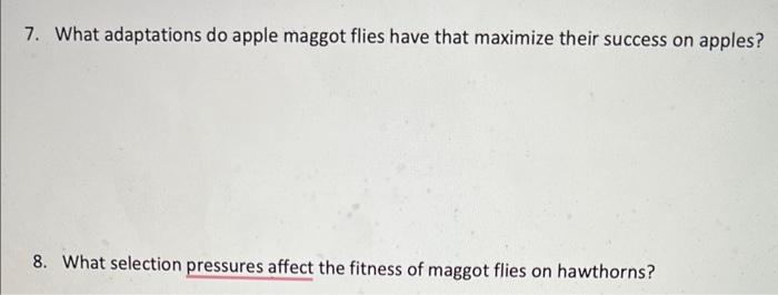Solved 7. What adaptations do apple maggot flies have that | Chegg.com