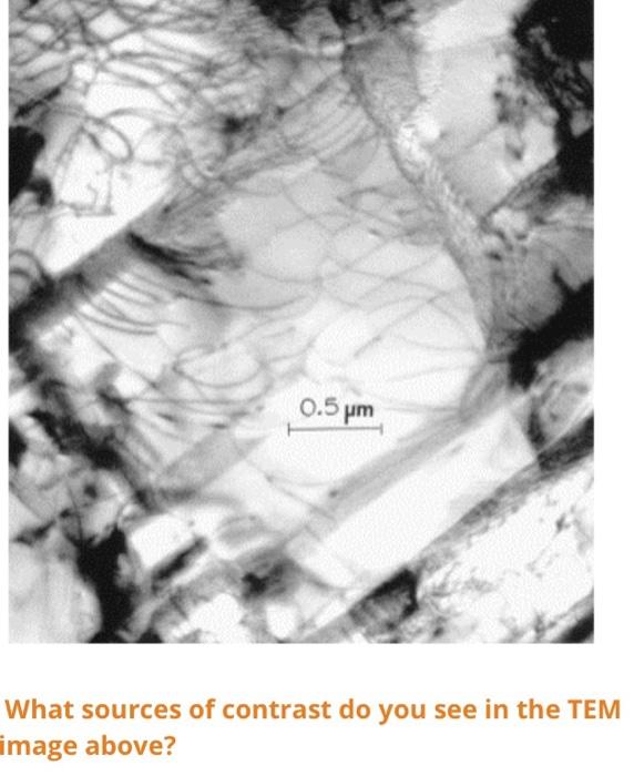 Solved 0.5 pm What sources of contrast do you see in the TEM | Chegg.com