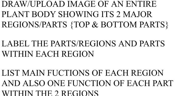 Solved DRAW/UPLOAD IMAGE OF AN ENTIRE PLANT BODY SHOWING ITS | Chegg.com