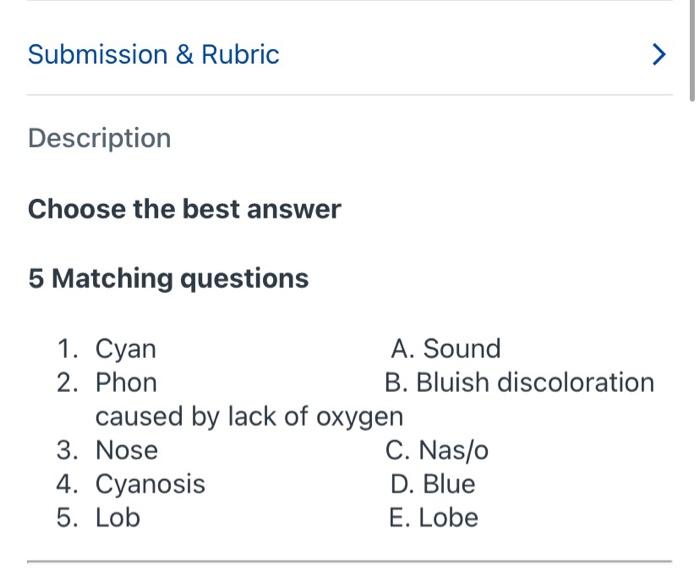 Solved Submission & Rubric > Description Choose the best | Chegg.com