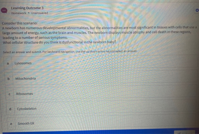Solved Learning Outcome 4 Homework – Unanswered True or | Chegg.com