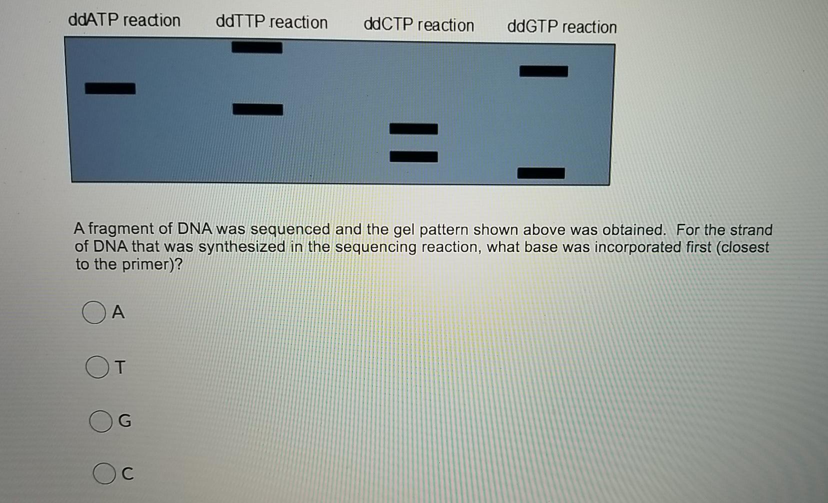 Solved ddATP reaction ddTTP reaction ddCTP reaction ddGTP | Chegg.com