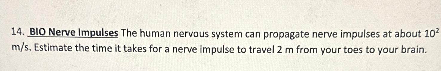 Solved BIO Nerve Impulses The human nervous system can | Chegg.com