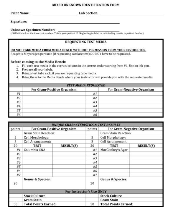 Gram + Gram - Gram + Gram - MIXED UNKNOWN | Chegg.com