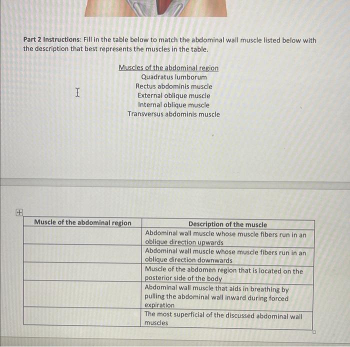 Solved Part 1 Instructions: Label and match boxes 1−4 on the | Chegg.com