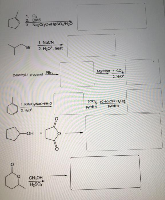 Solved 1. O3 2. DMS3. Na2Cr2O7/HgSO4/H2O + | Chegg.com