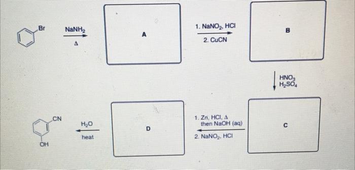 Solved ΔNaNH2 B 1. Zn,HCl,A heat H2O D then NaOH(aq) 2. | Chegg.com
