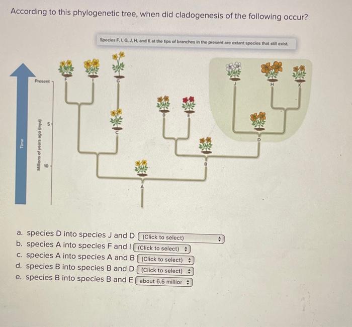 Solved According to this phylogenetic tree, when did | Chegg.com