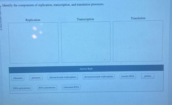 Solved Identify the components of replication, | Chegg.com