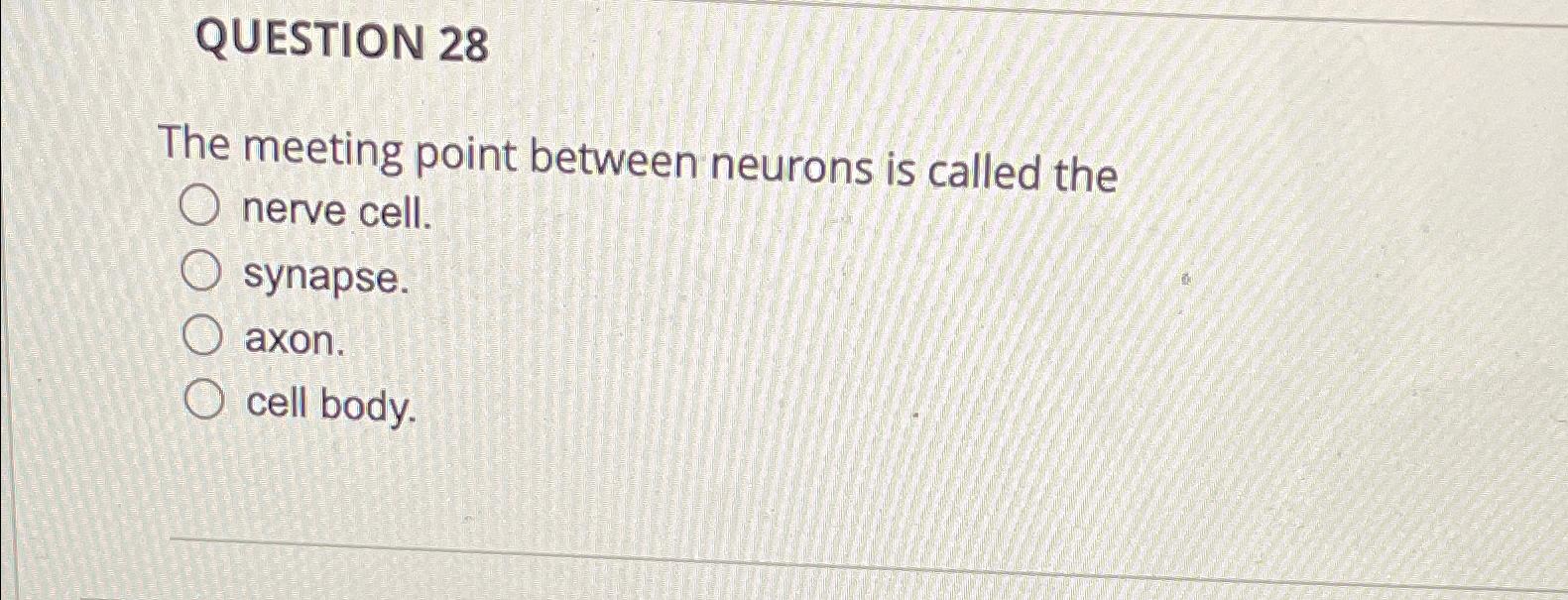 Solved QUESTION 28The meeting point between neurons is | Chegg.com