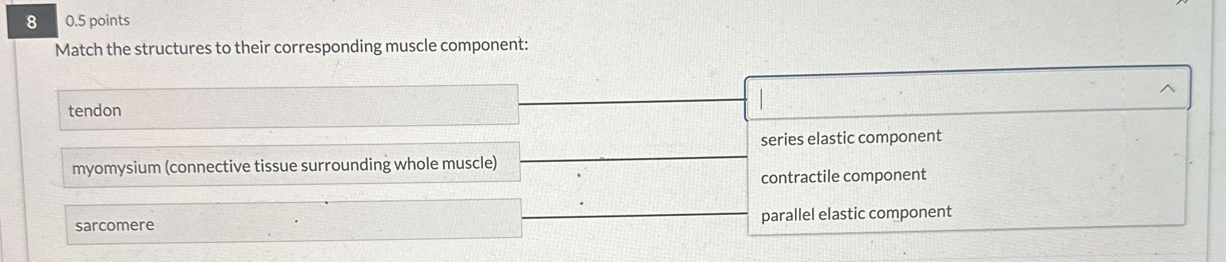 Solved 80.5 ﻿pointsMatch the structures to their | Chegg.com
